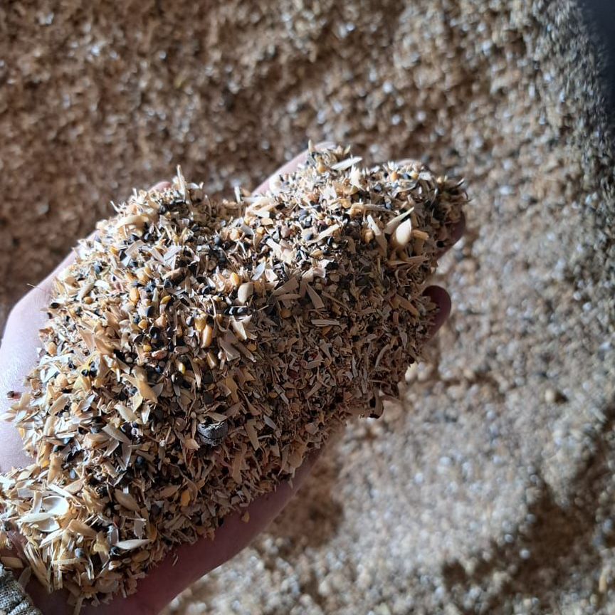 Отходы нута