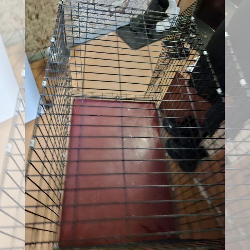 Клетка для большой собаки