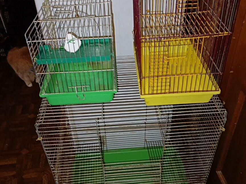 Клетки для разных животных и птиц б/у