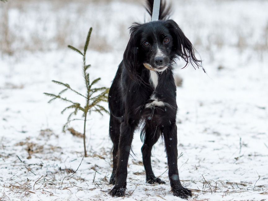 Наоми - маленькая звездочка, добрым людям