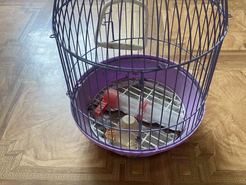 Клетка для попугая