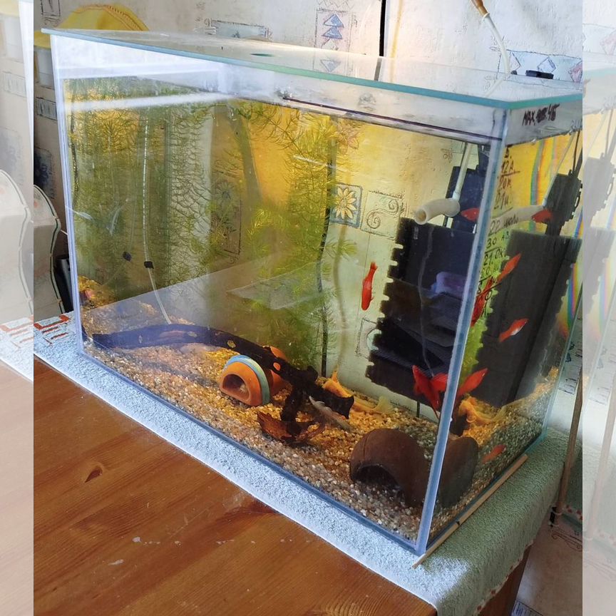 Аквариум готовый с рыбками 70 л