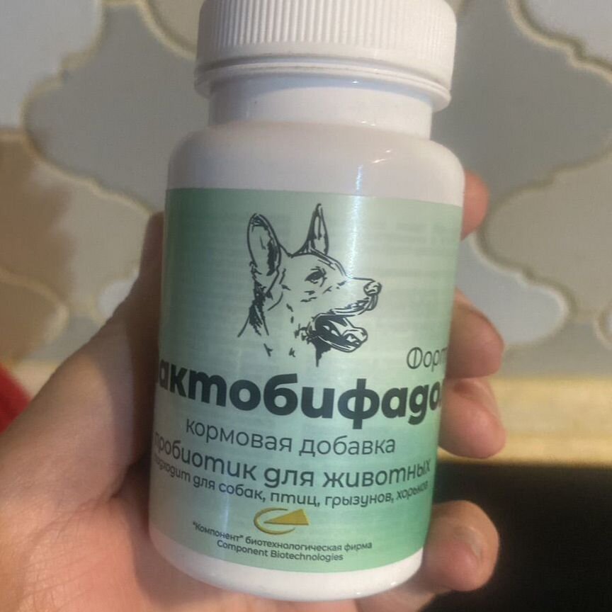 Корм для собак