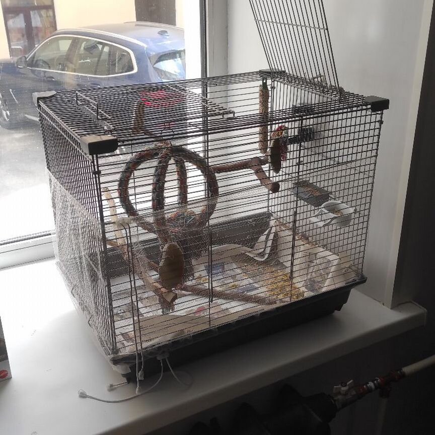 Клетка для попугая корелла