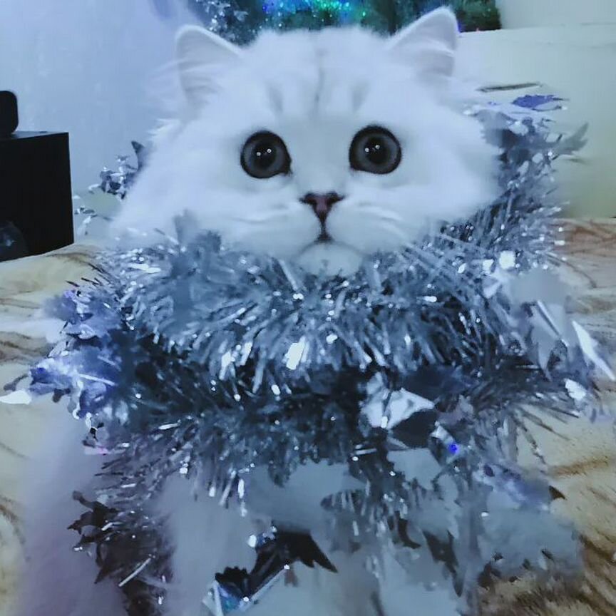 Снегурочка
