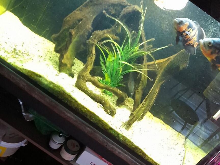 Аквариум с тумбой 380 литров