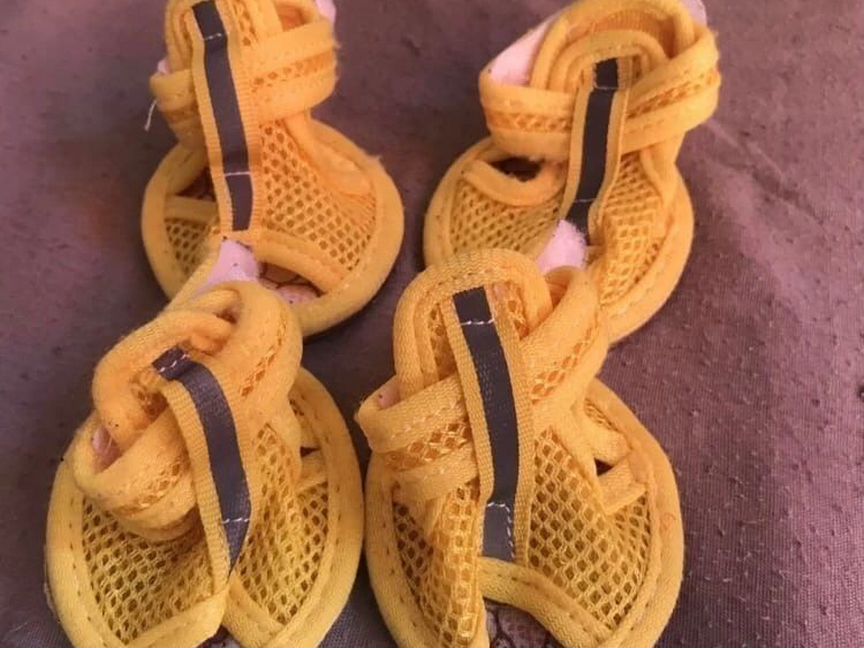 Новые тапочки для собак, кошек