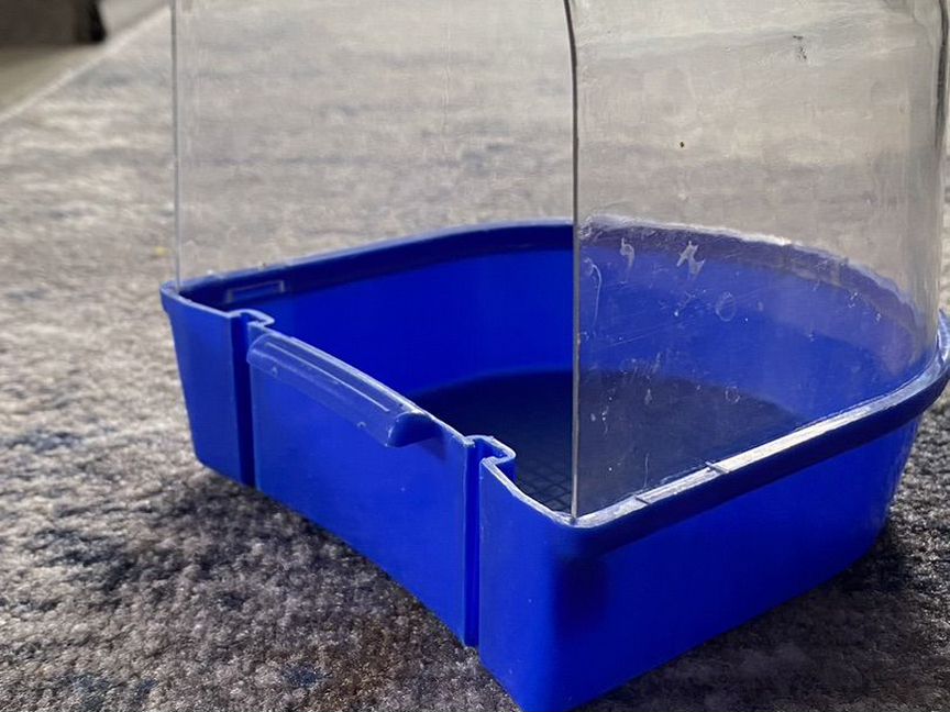 Ванна для попугаев