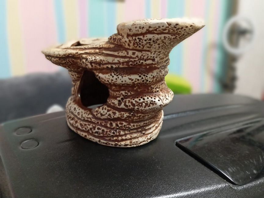 Островок для черепахи