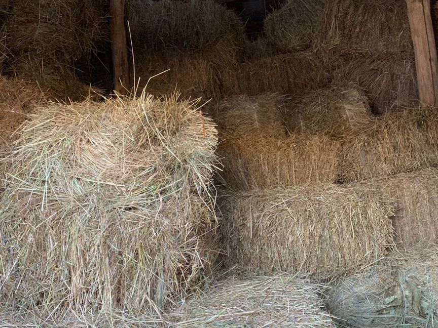 Сено в кипах