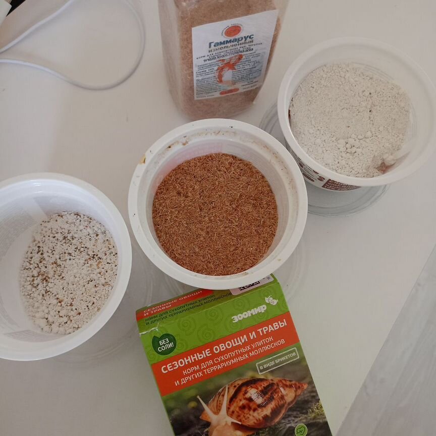 Подкормки для ахатины