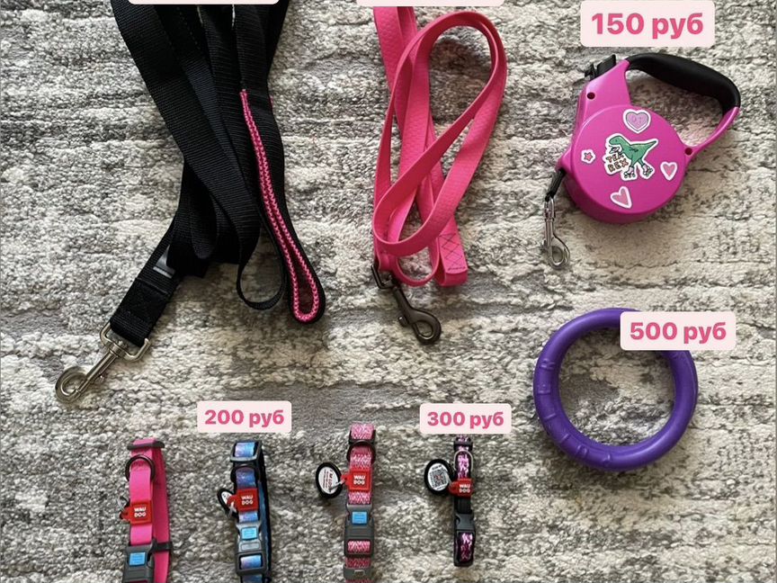 Амуниция для собак