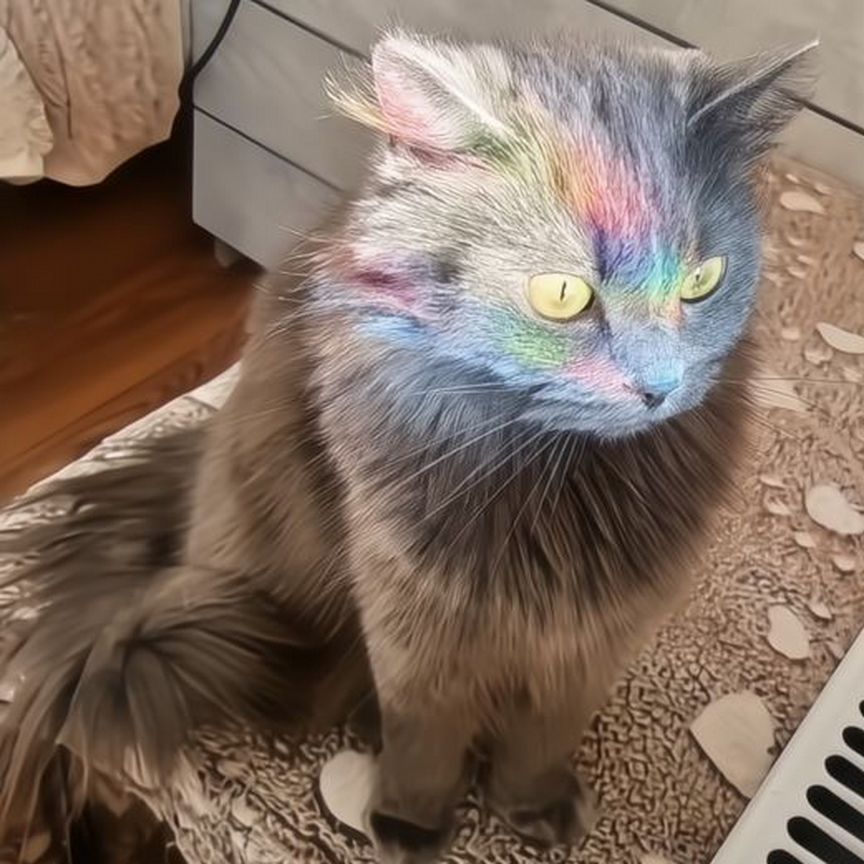 Взрослая, кошка в добрые руки