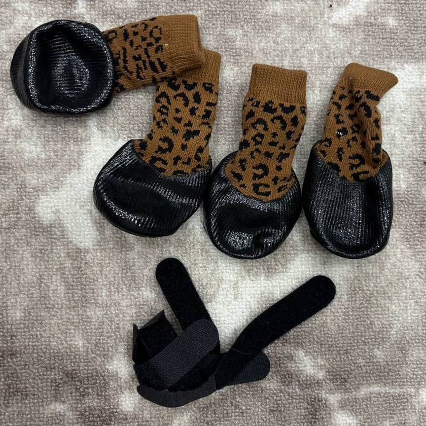 Обувь для собак мелких пород