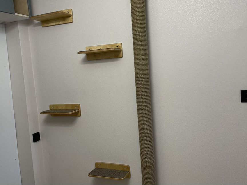 Система дом для кошек