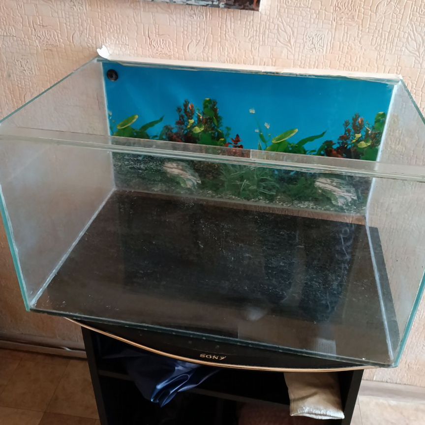 Аквариум