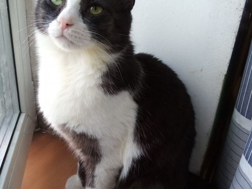 Дорогой, нам надо поговорить