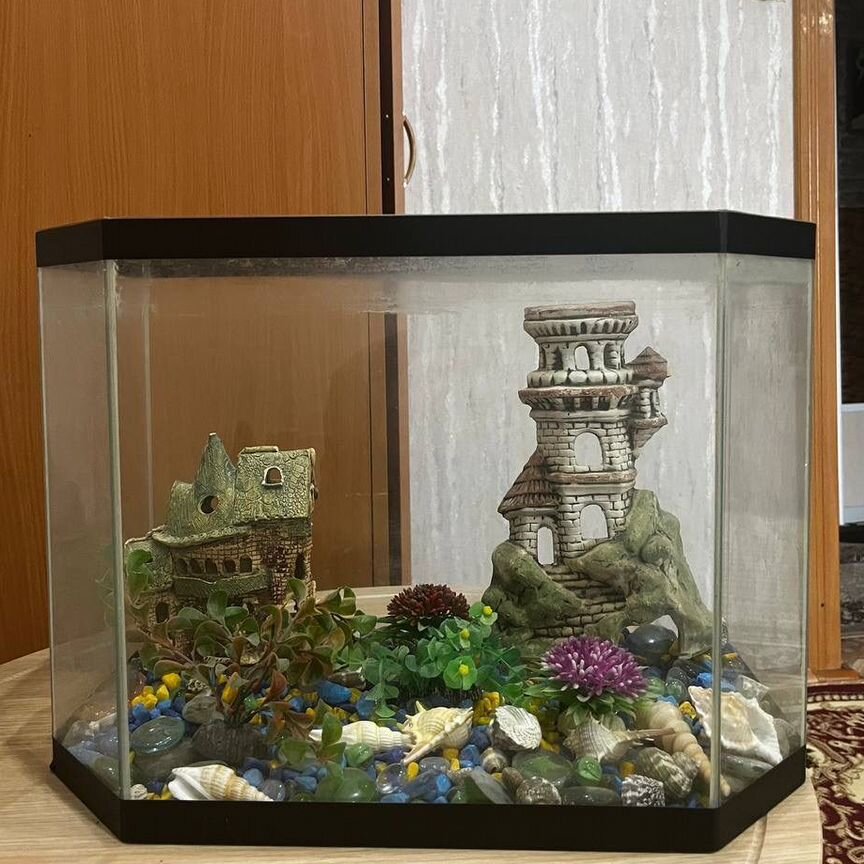 Аквариум