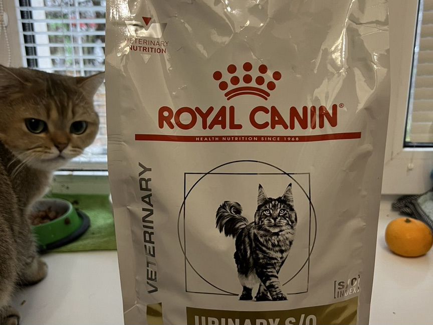 Royal Canin urinary s o