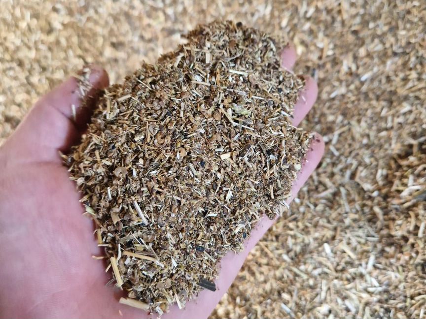 Зерно отходы