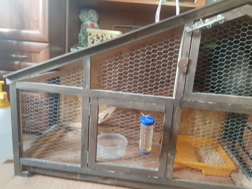 Клетка для кролика