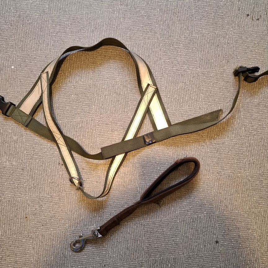 Шлейка для средней собаки