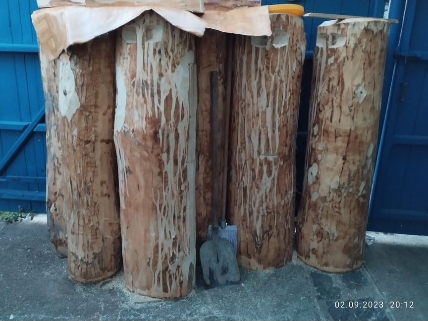 Борти (башкирские улья) пчелиные, колоды