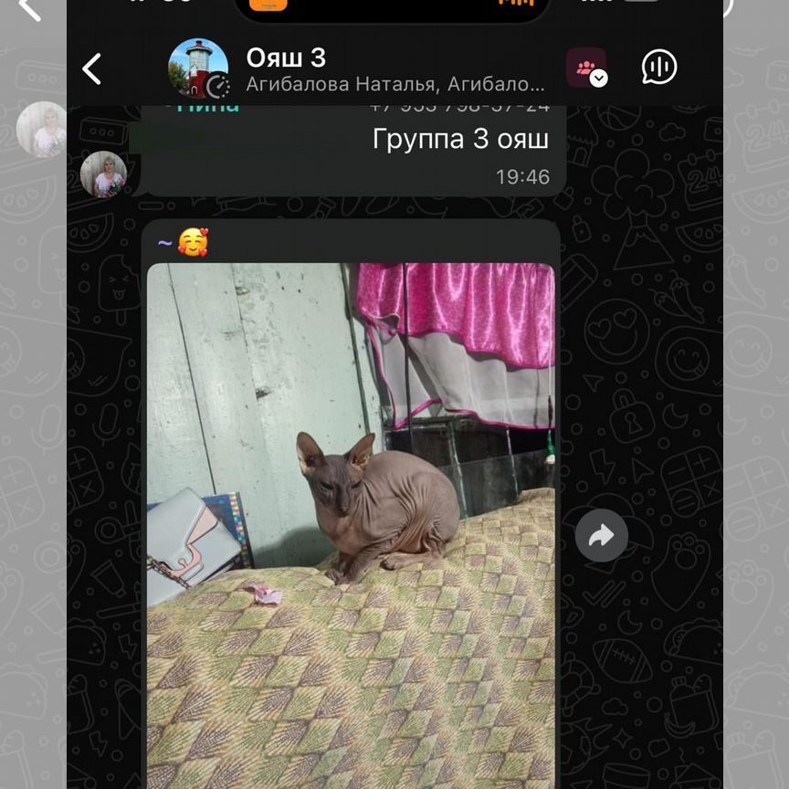 Мэйн кун