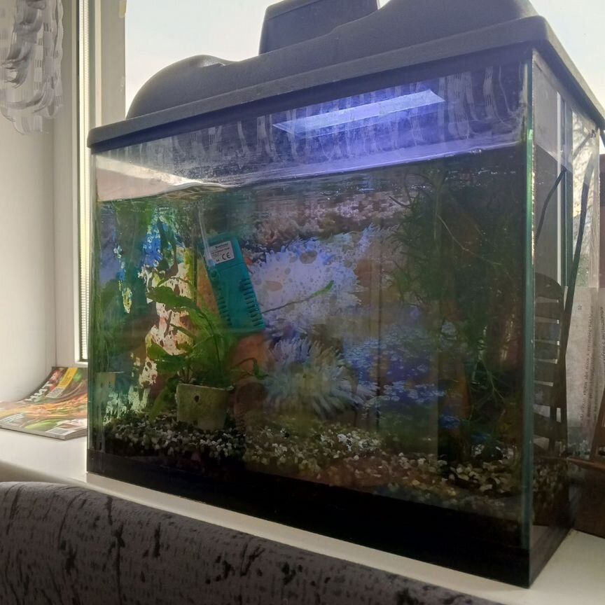 Аквариум