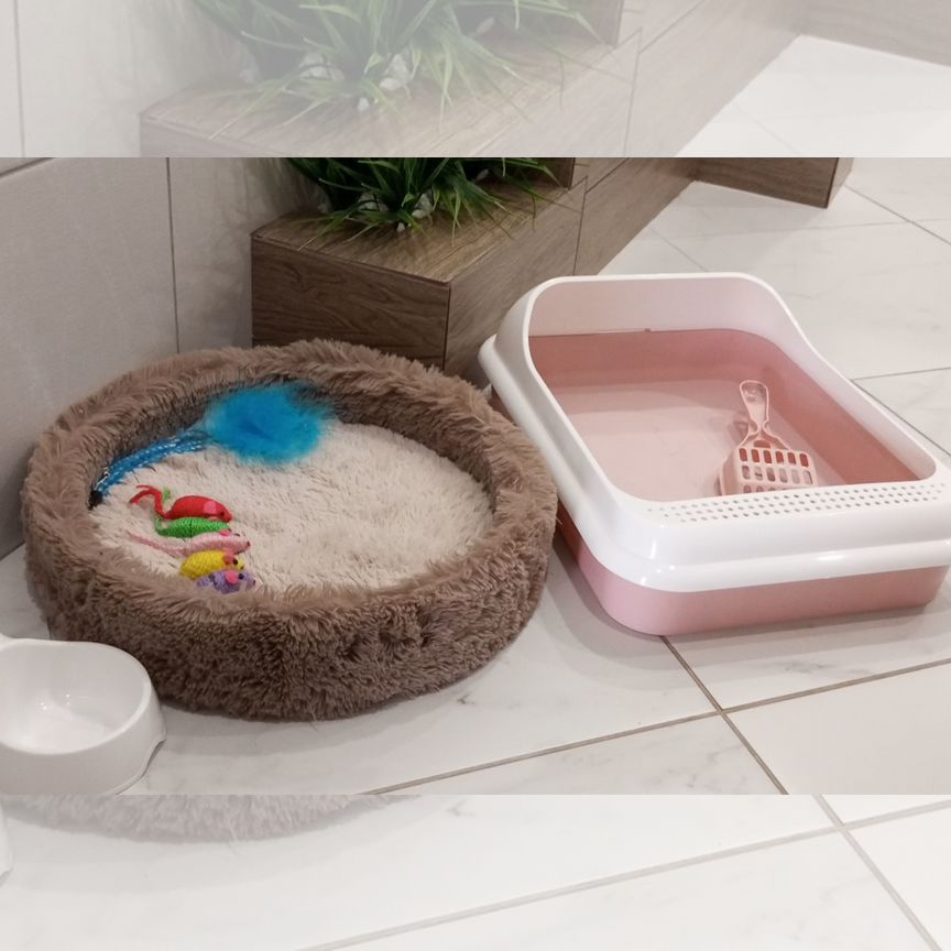 Лежанка для кошек