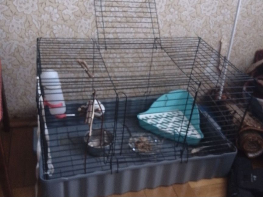 Клетка для грызунов большая