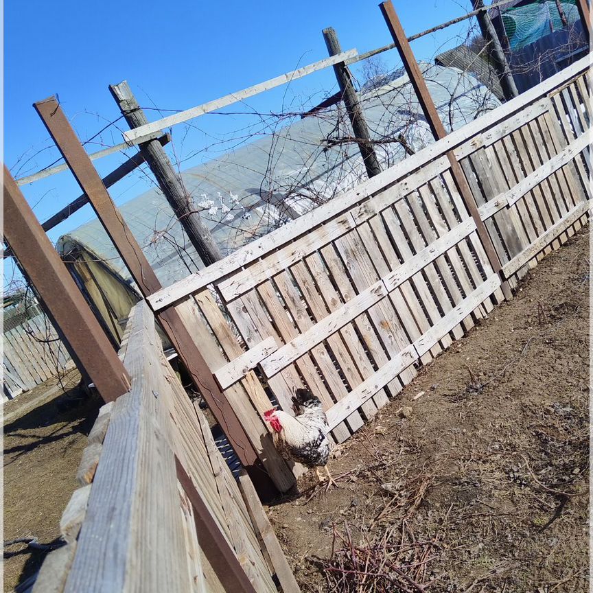 Петушки калужская область-город Малоярославец