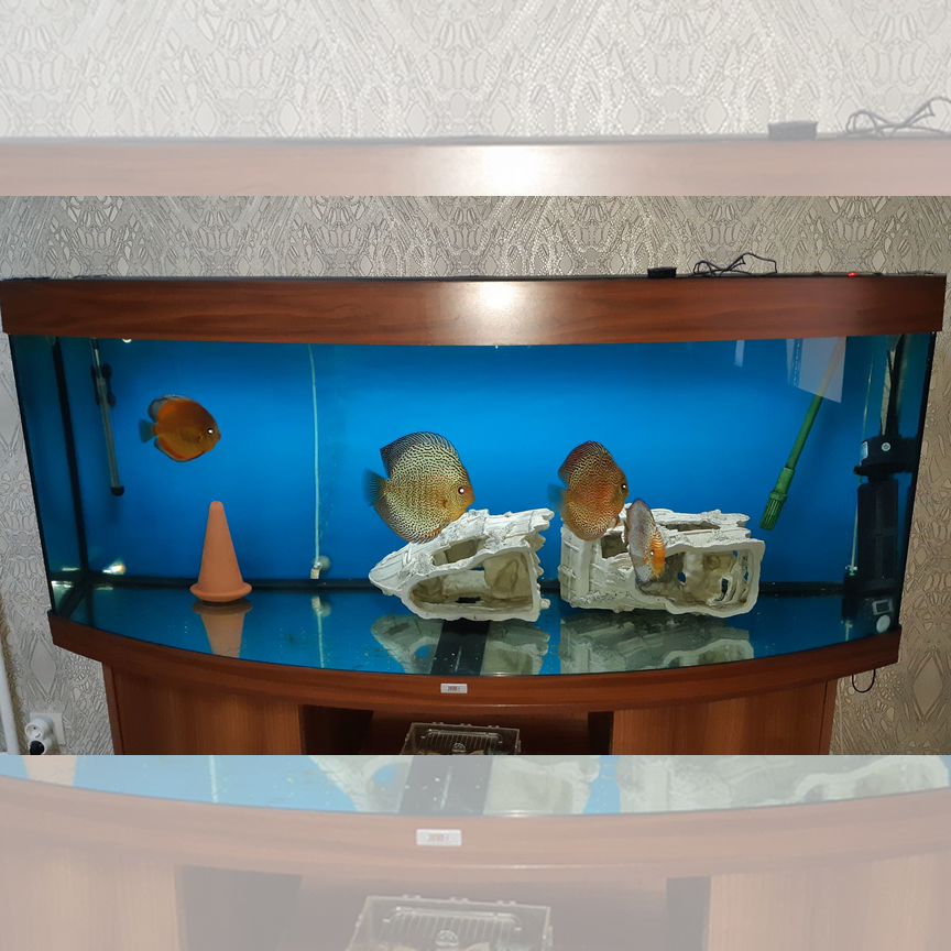 Аквариум Juwel 450 л с тумбой