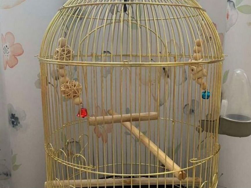 Клетка для попугая