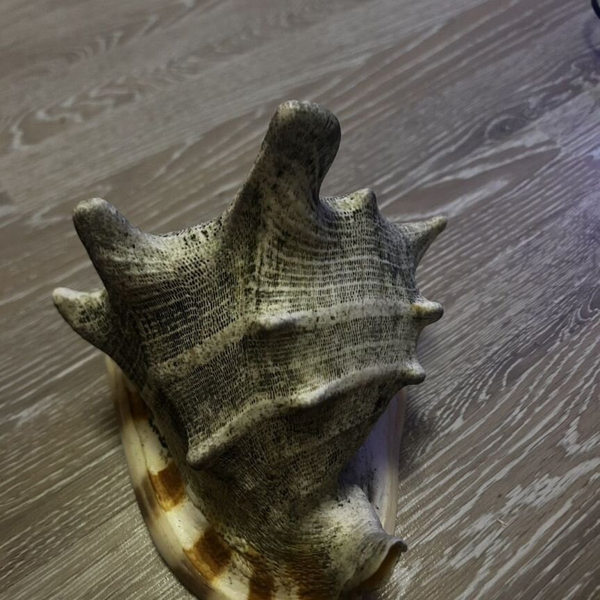 Украшения для аквариума, авто кормушка обмен