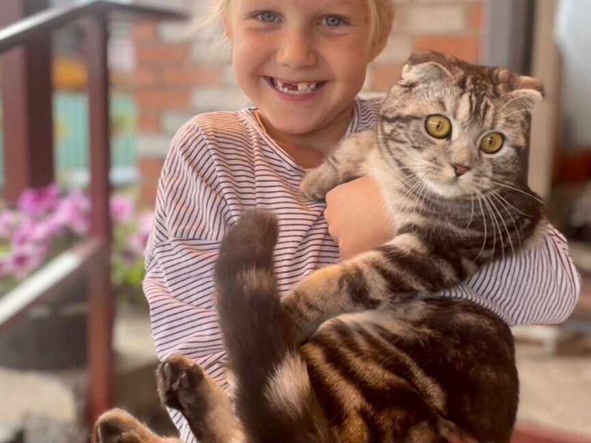 Кошка для вязки