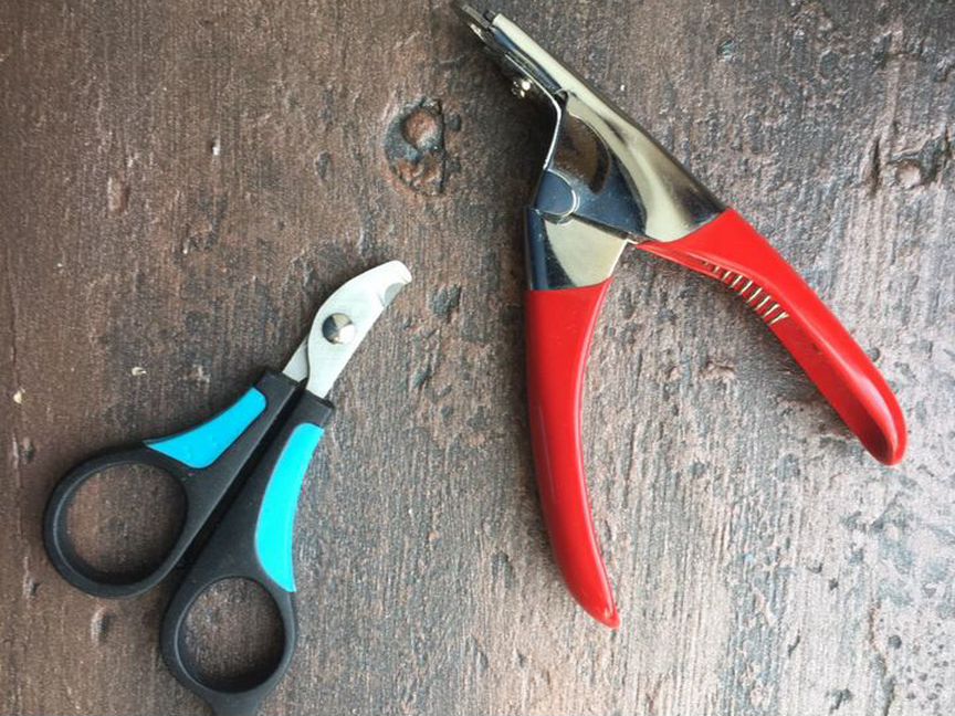 Когтерез-гильотина для собак