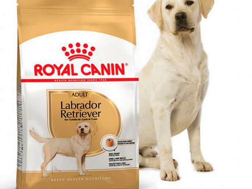 Royal Canin Labrador retriever 13 кг
