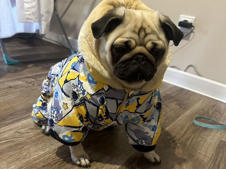 Ищем жениха