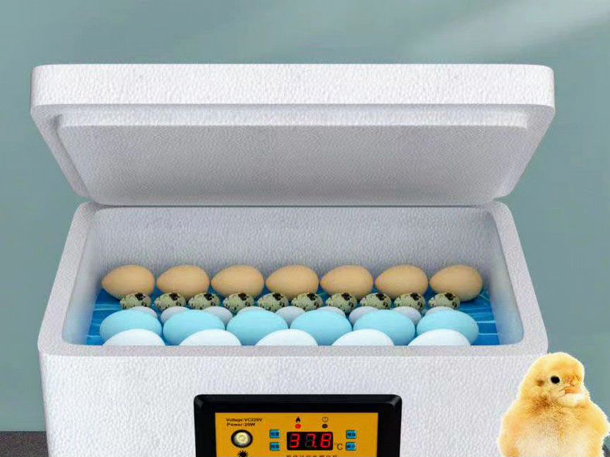 Инкубатор для яиц автоматический