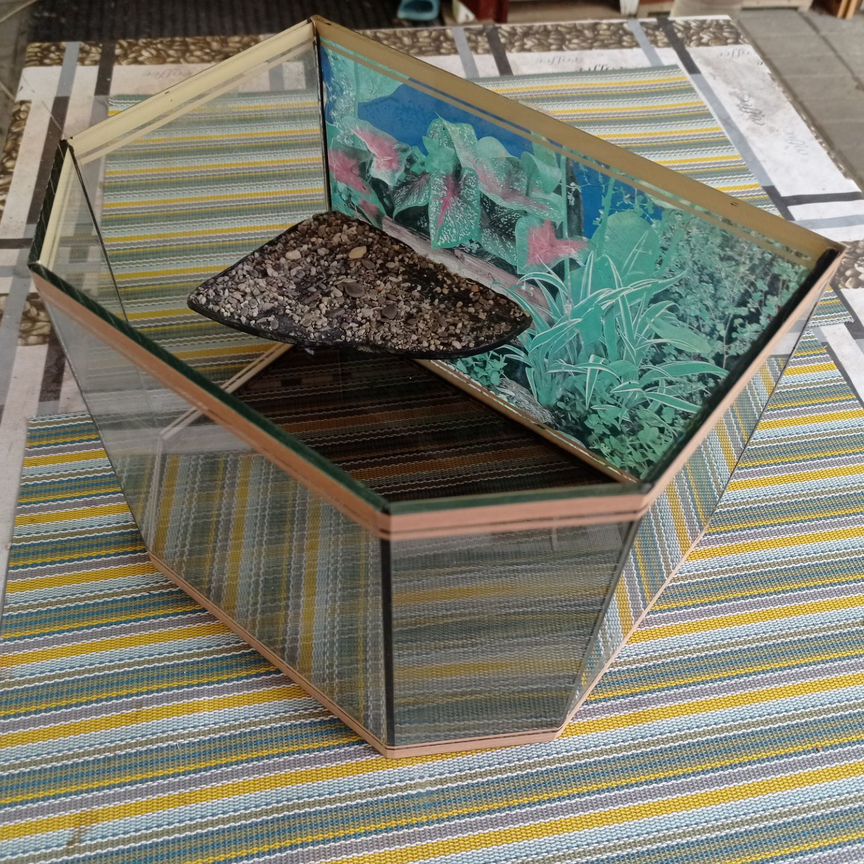 Аквариум террариум для черепашек, улиток, рыбок