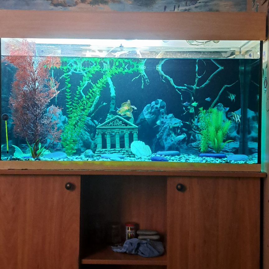 Аквариум