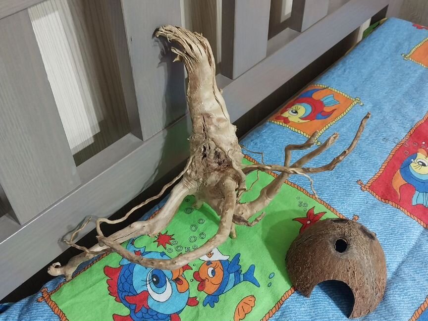 Коряга для аквариума натуральная, кокос в подарок