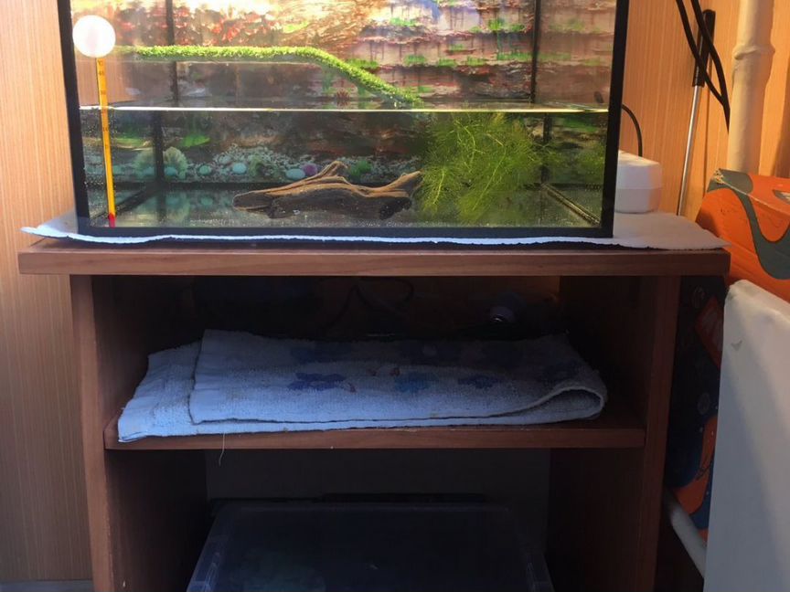 Аквариум для черепах