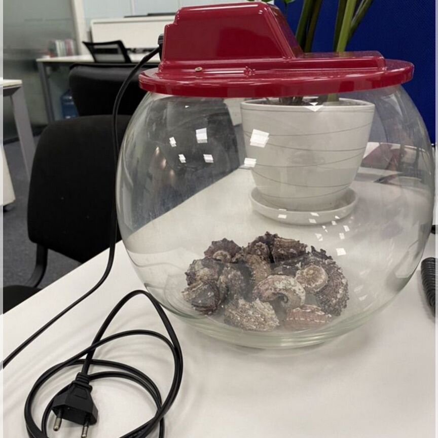 Аквариум круглый