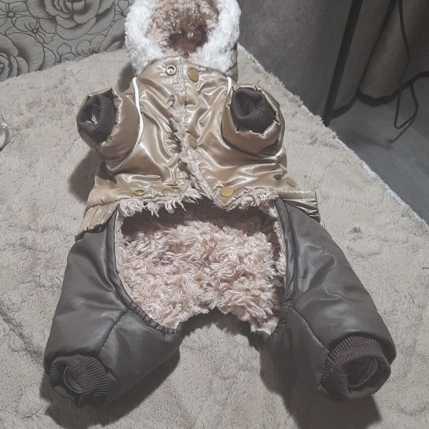 Зимний комбинезон для кобелька