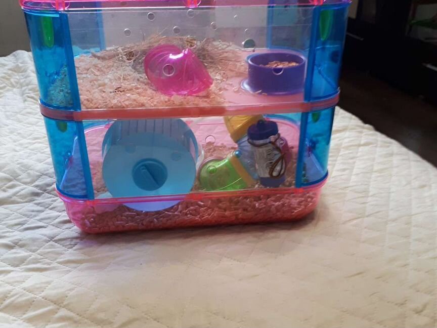 Клетка для хомяков