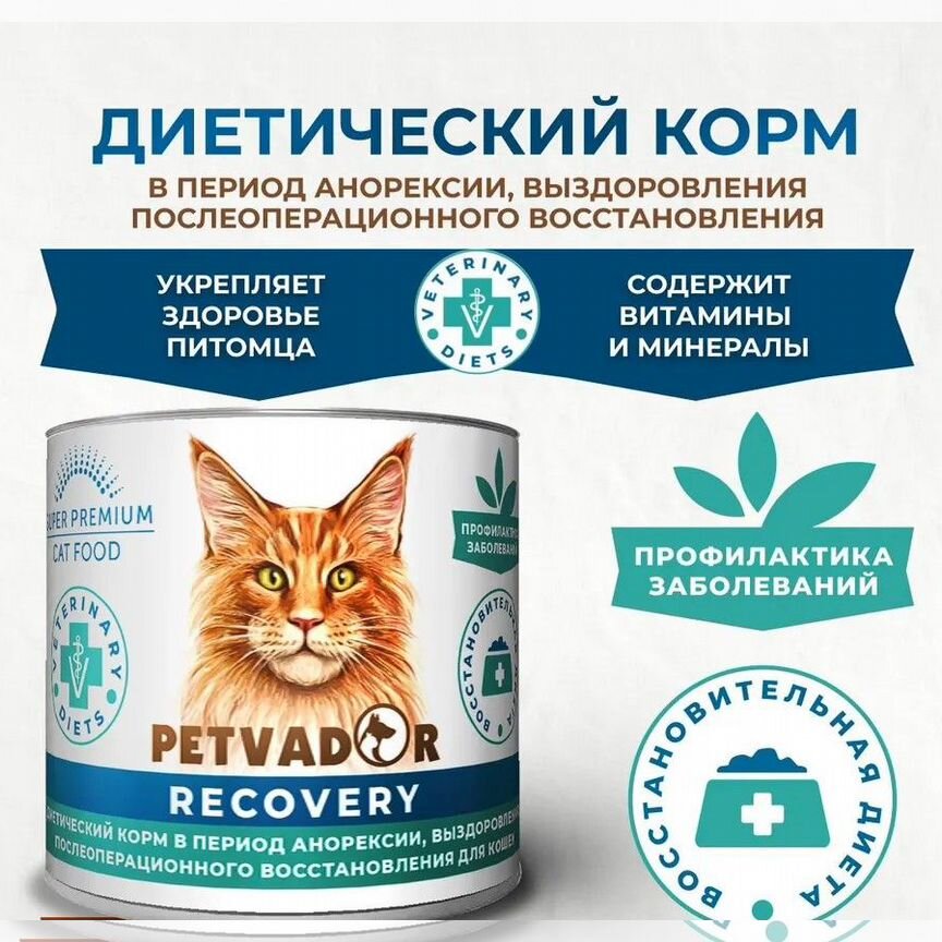 Корм для кошек