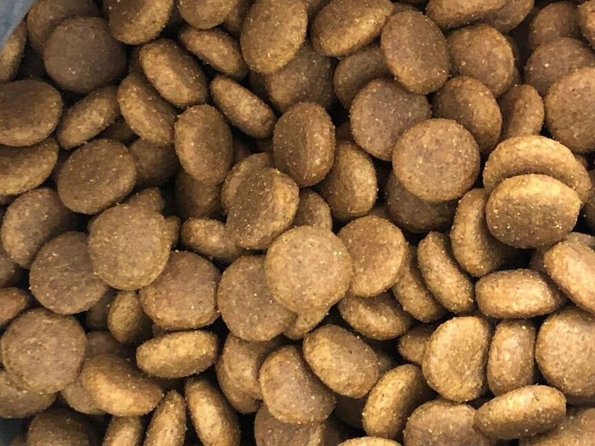 Корм для собак развесной