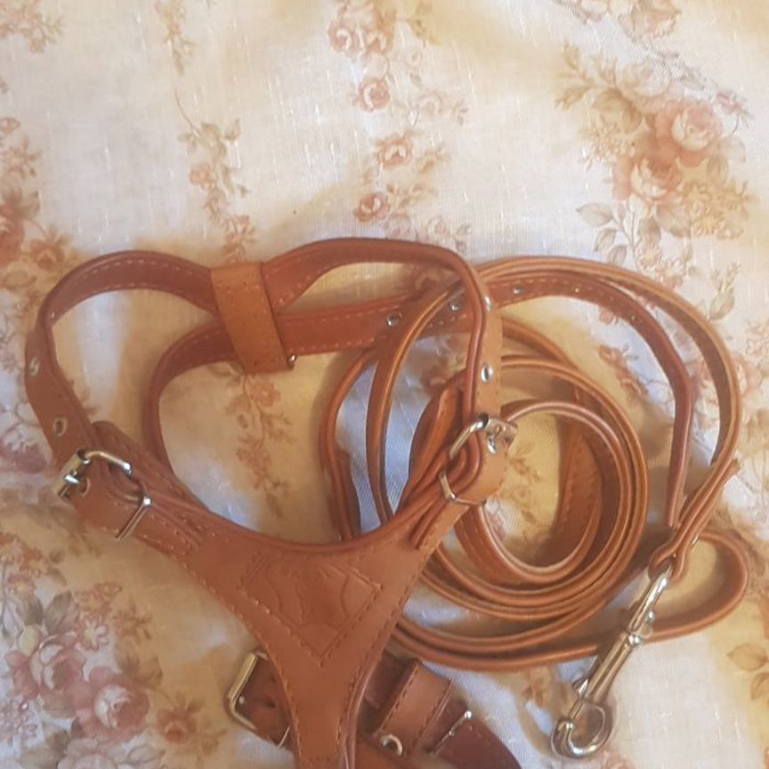 Шлейка с поводком для собак